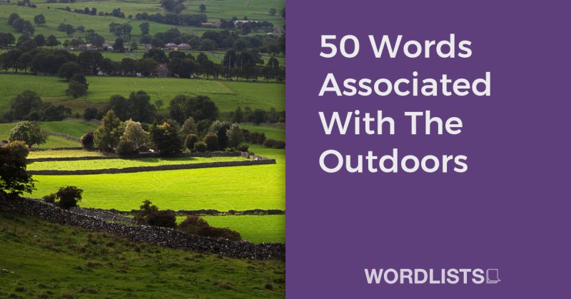 List Of Words With The Prefix "quad"