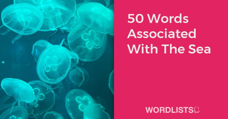List Of Words With The Suffix "scope"