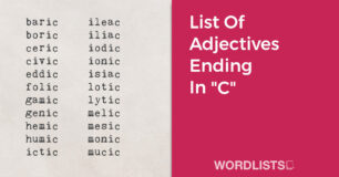 List Of Adjectives Ending In "C"