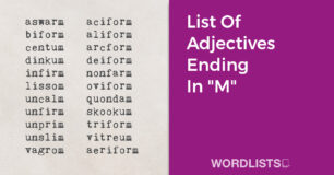 List Of Adjectives Ending In "M"