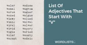 List Of Adjectives That Start With "V"