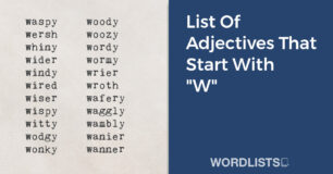 List Of Adjectives That Start With "W"