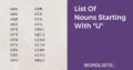 List Of Nouns Starting With U 
