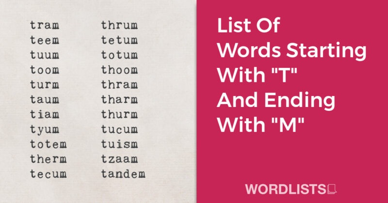 List Of Words With The Prefix "fe"