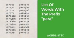 List Of Words With The Prefix "para"