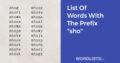 List Of Words With The Prefix "hypo"