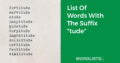 List Of Words With The Suffix "tude"